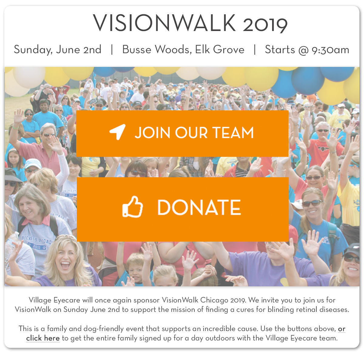VEC-Newsletter-VisionWalk_May-2019psd - Village Eyecare